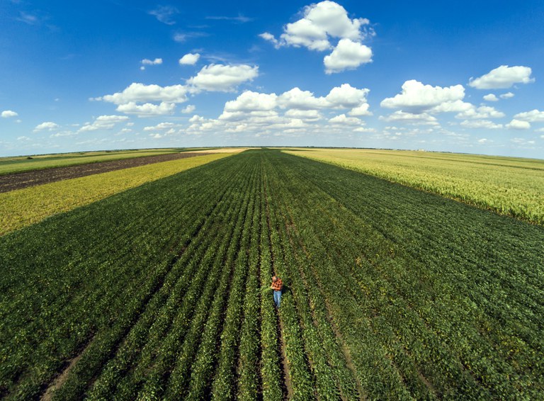 Área do Matopiba é a que mais cresce em plantio no Brasil | Folha do ...